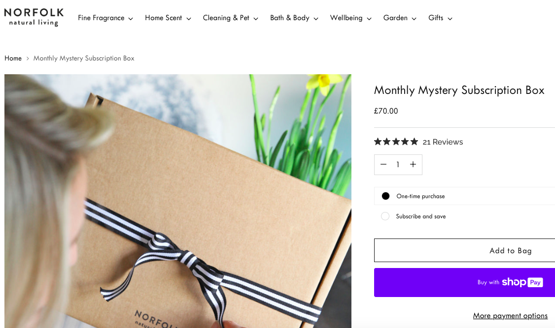 Top Mystery Subscription Box Examples